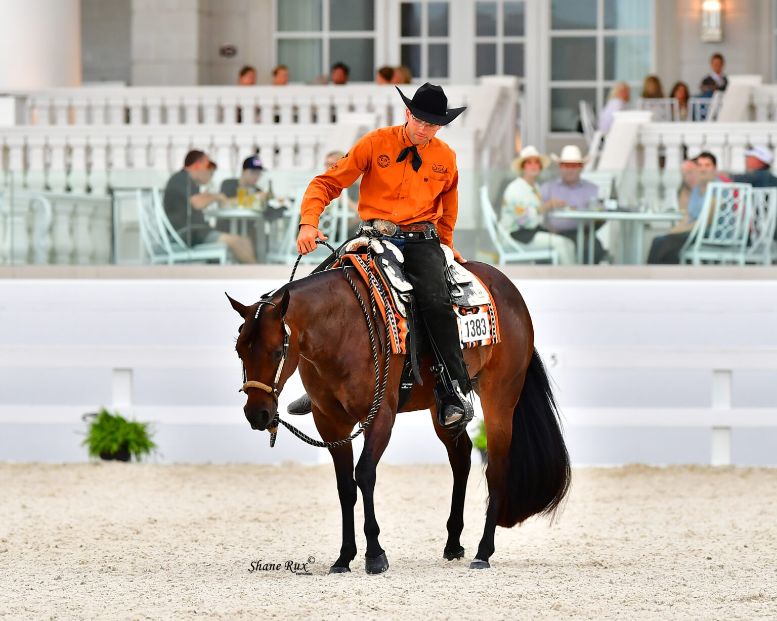 A Sudden Impulse Futurity Crowns Maiden Champion - Show Horse Today