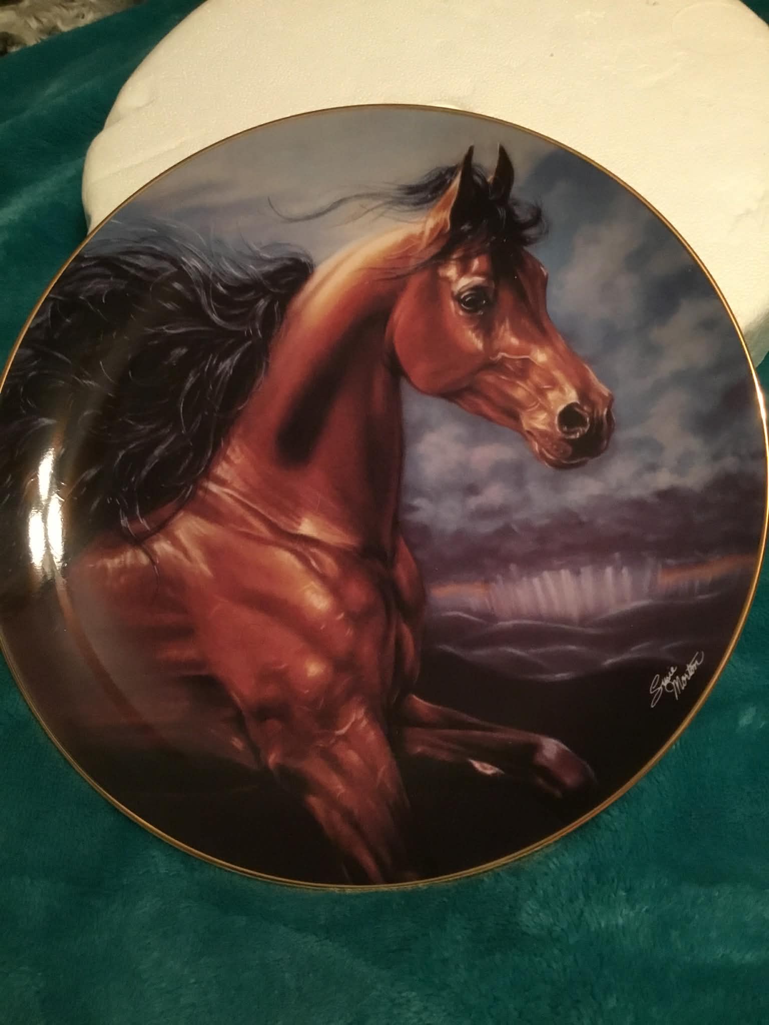 6 Vintage Horse Collector Plates - Danbury Mint "Noble and Free" - Show ...